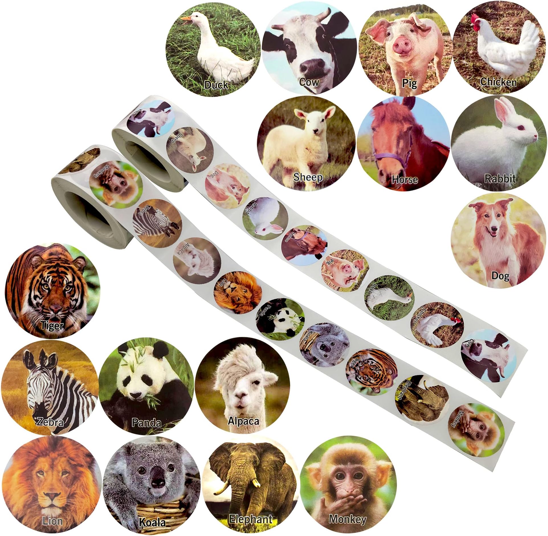 Amazon.com: Eureka Farm Animals Photos Stickers : Everything Else