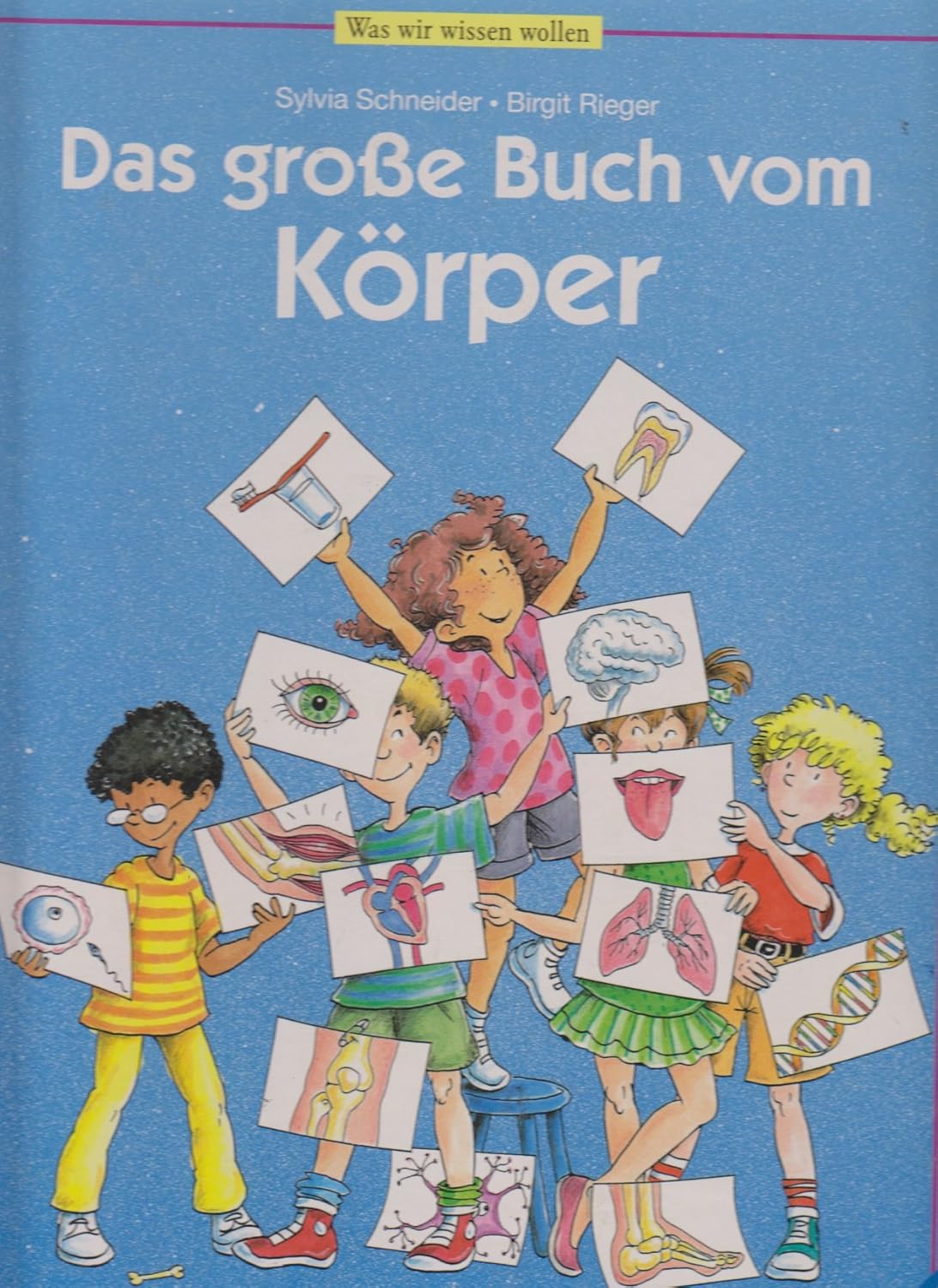 Das große Buch vom Körper : Schneider, Sylvia, Rieger, Birgit: Amazon ...