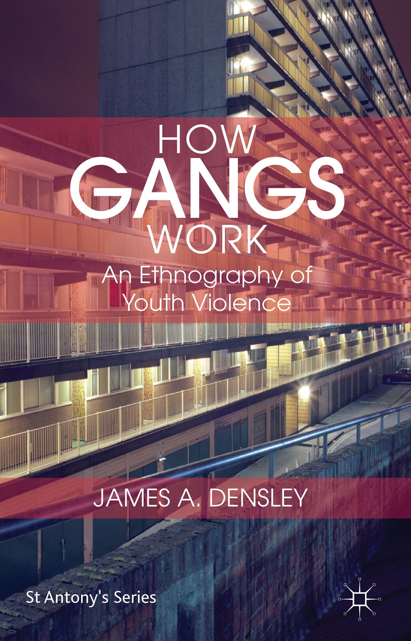 How Gangs Work: An Ethnography of Youth Violence (St Antony's Series ...