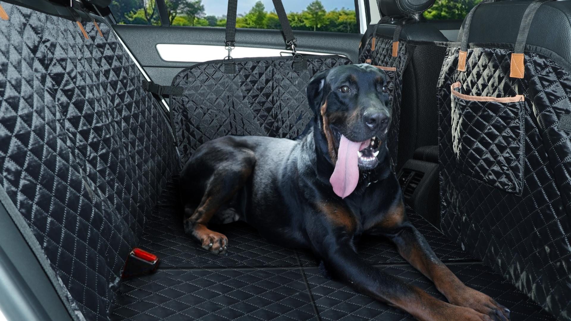 Dog Hammock For Back Seat Back Seat Extender For Dogs With Hard Bottom ...