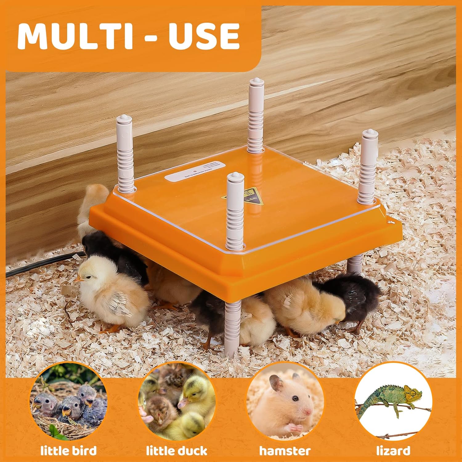 Calentador de criador para pollitos de 10 x 10 pulgadas para 15 ...