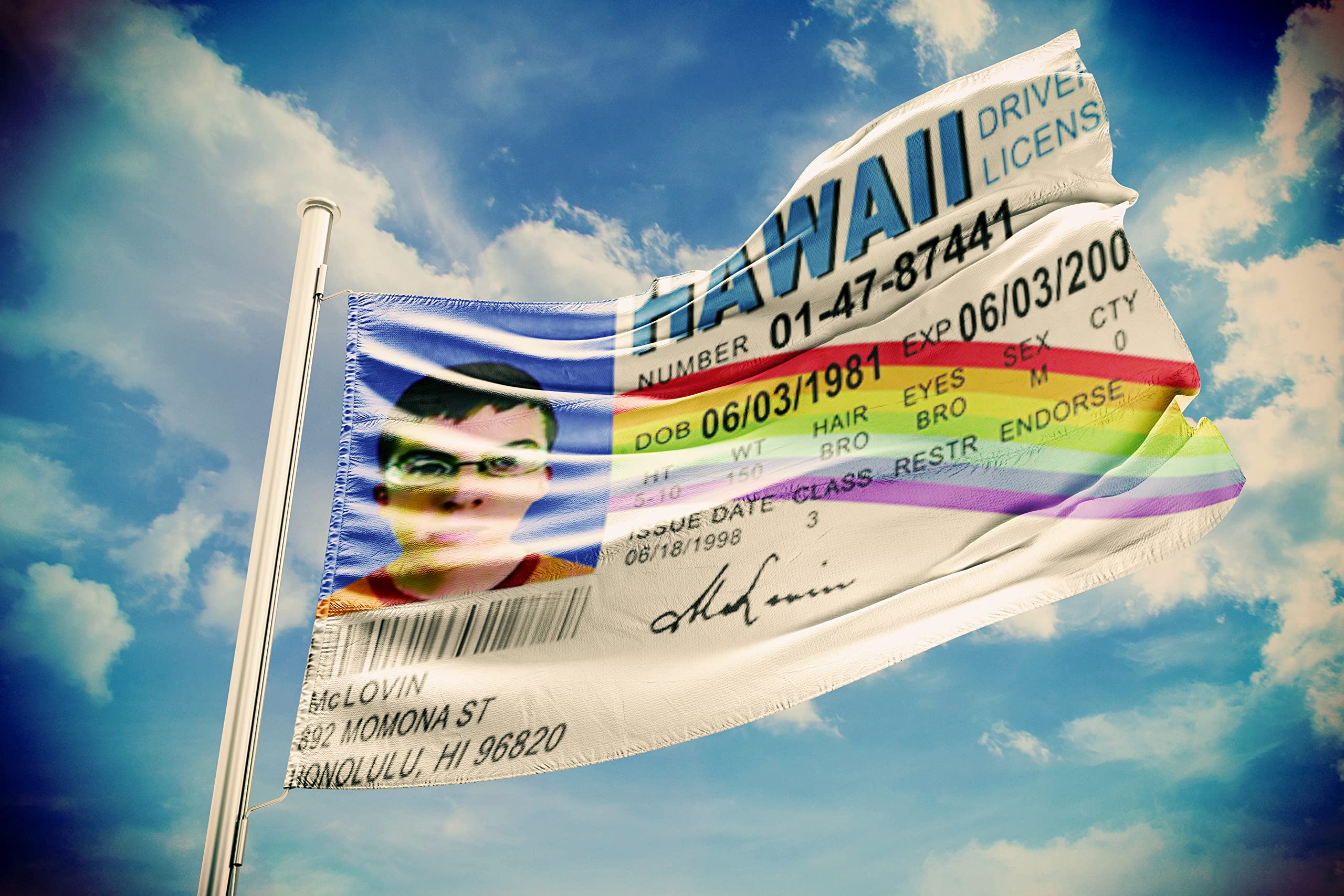 Fenglfly Manufacturer flag of McLovin HAWALL Driver License Flag 3x5ft ...