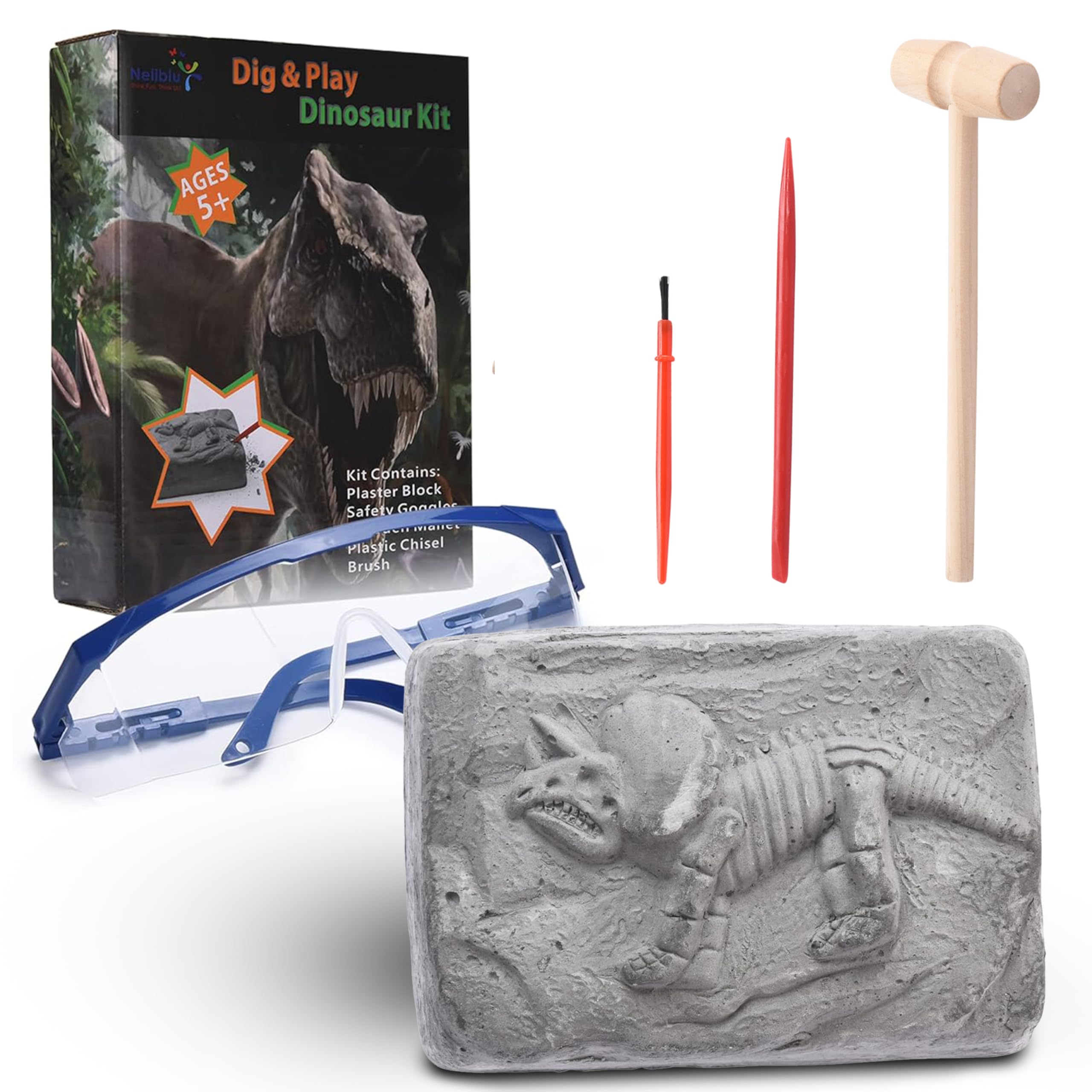 Amazon.com: Neliblu Dinosaur Fossil Digging Kit for Kids - 1x5x4-Inch ...