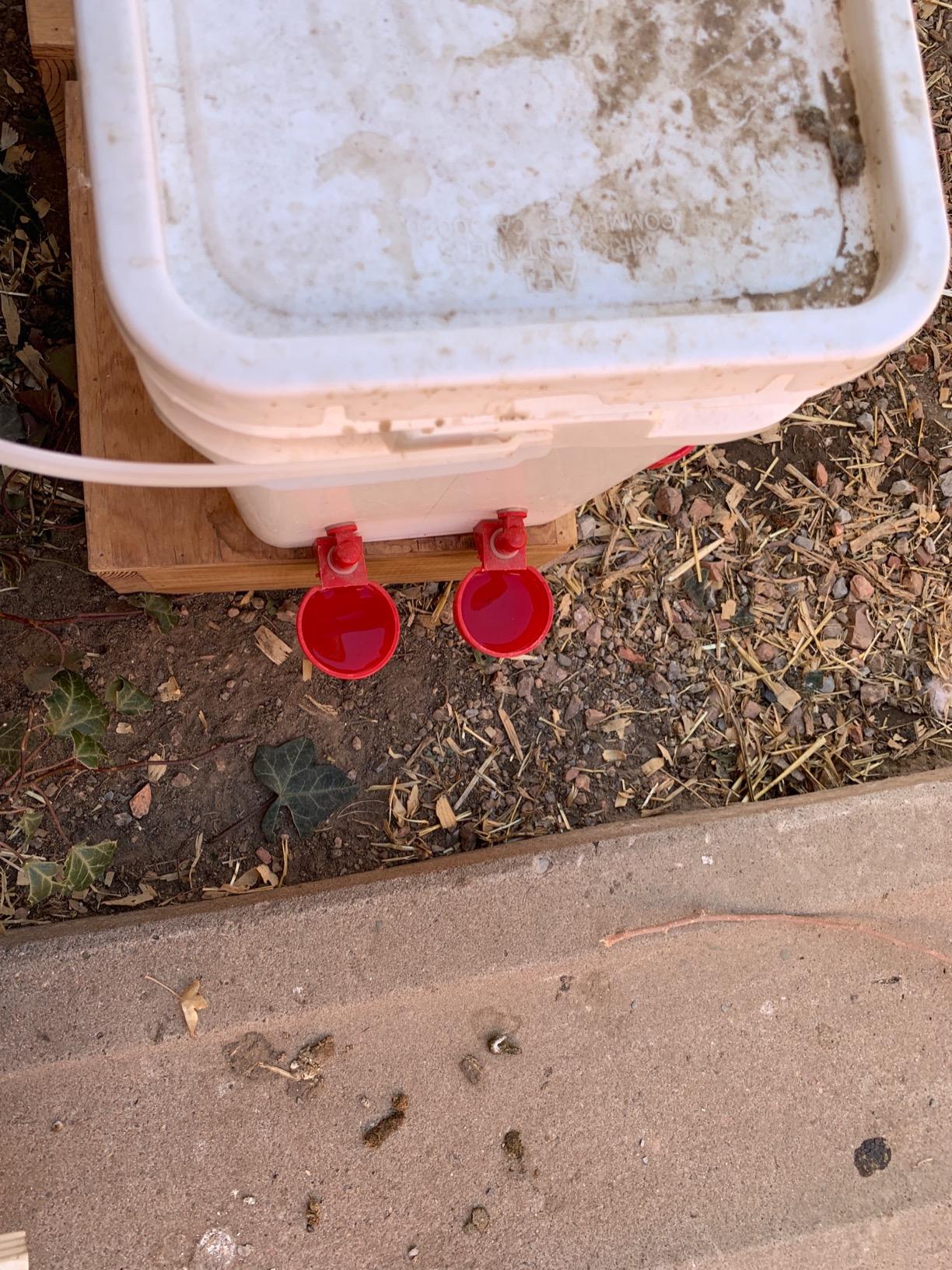 Amazon.com : Ukphail Square Bucket Kit, Four 4-Gallon Buckets and Four ...