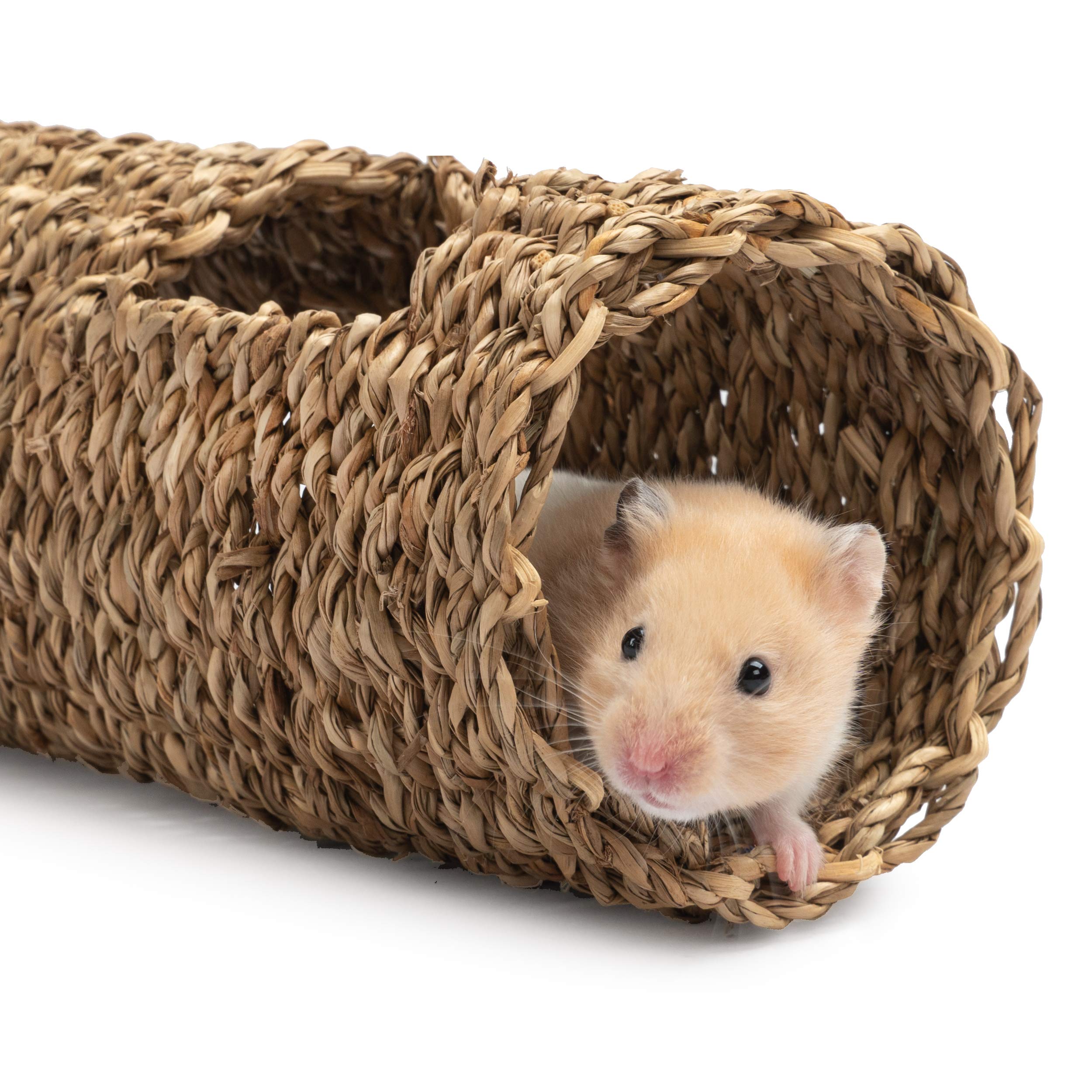 Snapklik.com : Niteangel Creative & Composable Hamster Tunnel - DIY ...
