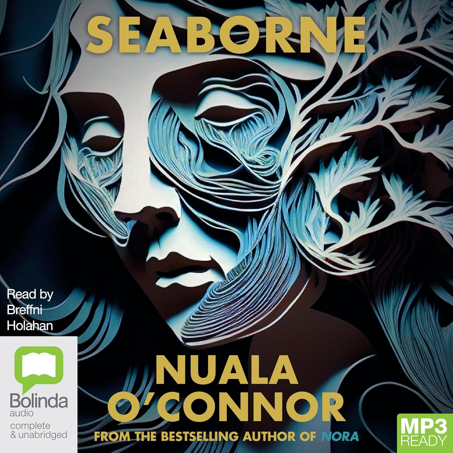 Seaborne: Amazon.co.uk: O'Connor, Nuala, Holahan, Breffni ...