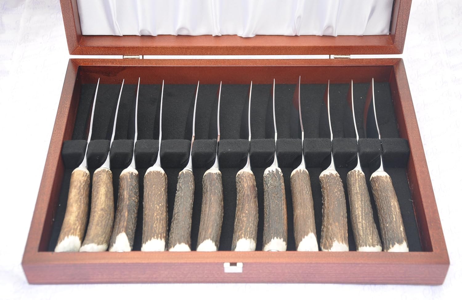 Amazon.com: Twelve Cased Genuine Stag Horn/Antler Handle Steak Knives ...