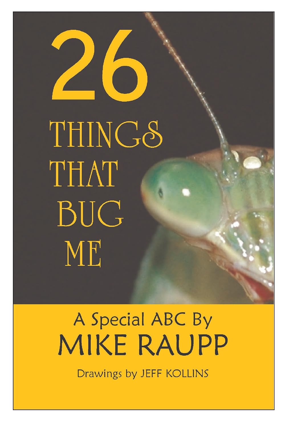 26 THINGS THAT BUG ME: Michael Raupp: 9780578045269: Amazon.com: Books