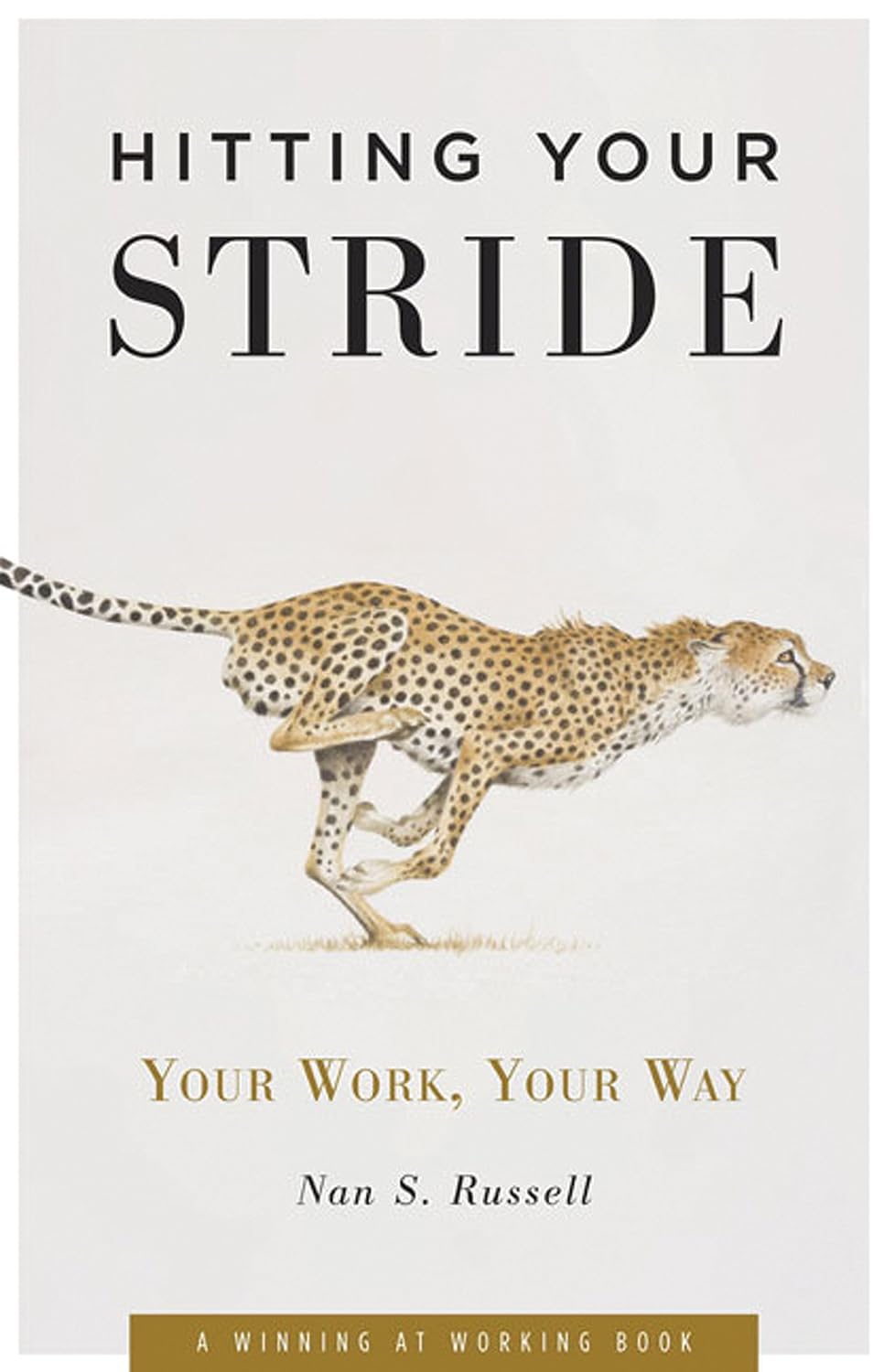 Hitting Your Stride: Your Work - Your Way (Capital Career & Personal ...