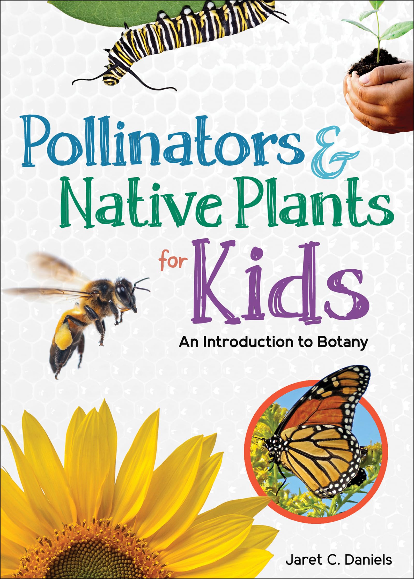 Plant Reproduction For Kids