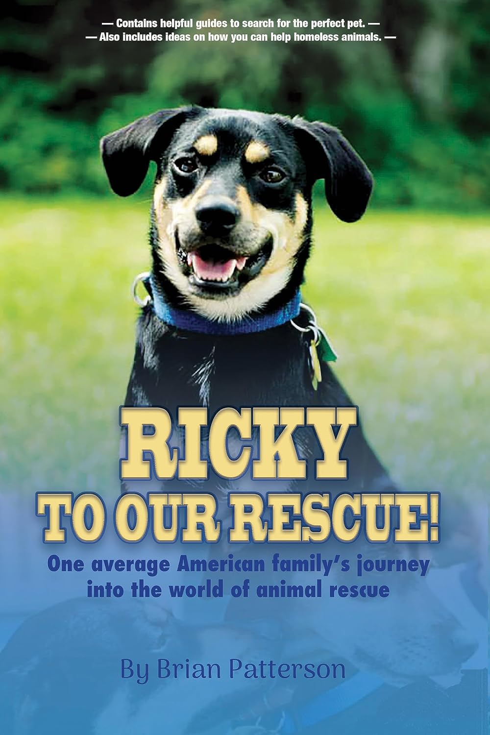 Amazon.com: Ricky To Our Rescue!: One average American family’s journey ...