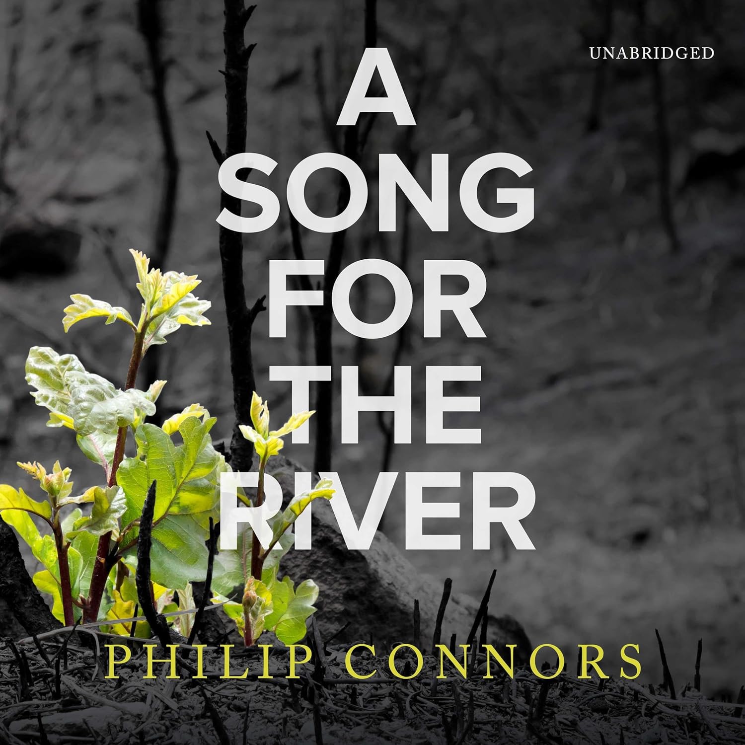 Amazon.com: A Song for the River (Audible Audio Edition): Philip ...