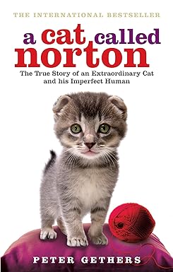 A Cat Called Norton: Amazon.co.uk: Gethers, Peter: 9780091933296: Books
