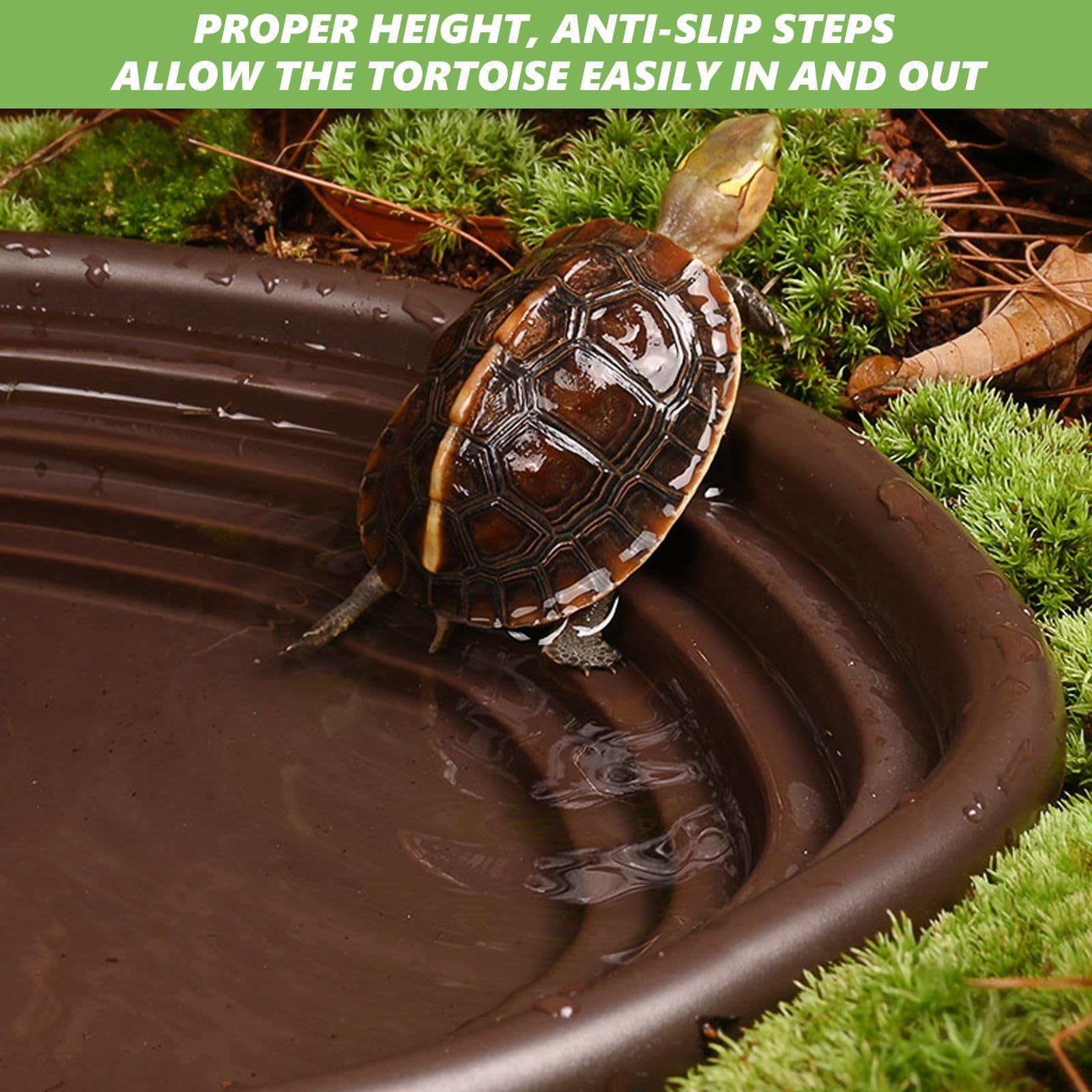 Tortoise Bath 3PC Tortoise Water Bowl With Ramp - Reptile Bathing Pool ...