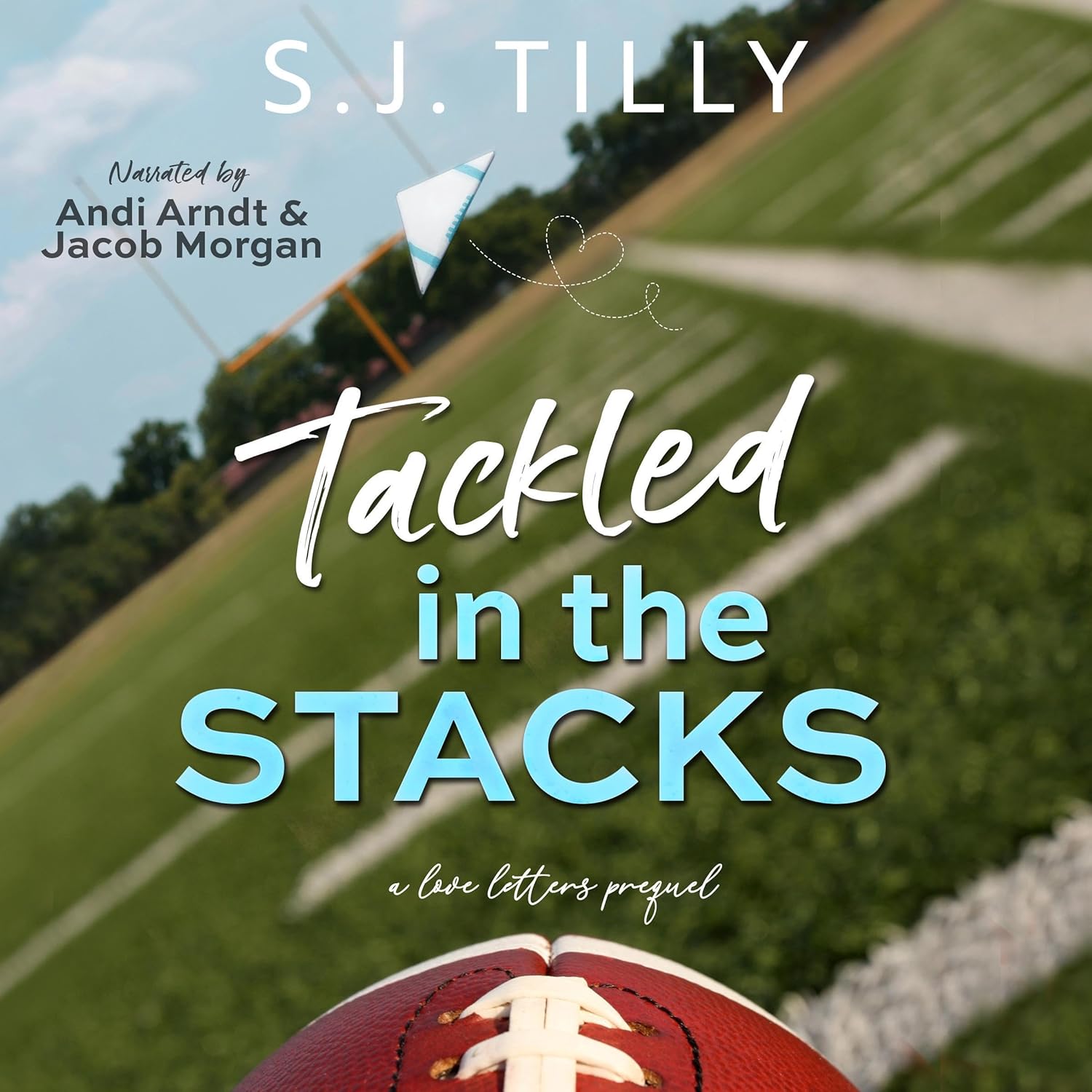 Amazon.com: Tackled in the Stacks: A Love Letters Prequel (Audible ...