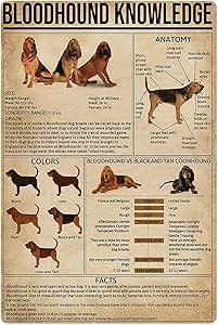 Amazon.com : Bloodhound Knowledge Metal Tin Signs Bloodhound ...