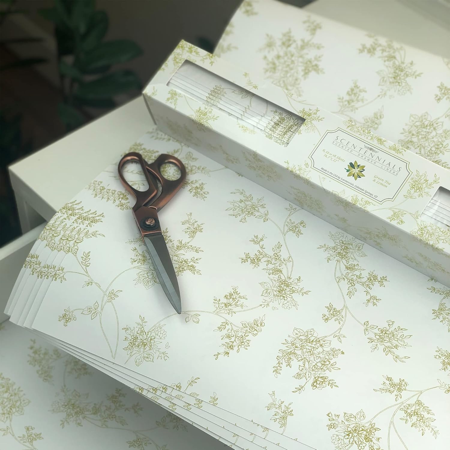 Amazon.com - Scentennials Green Tea & Lemon Scented Drawer Liners - (16 ...