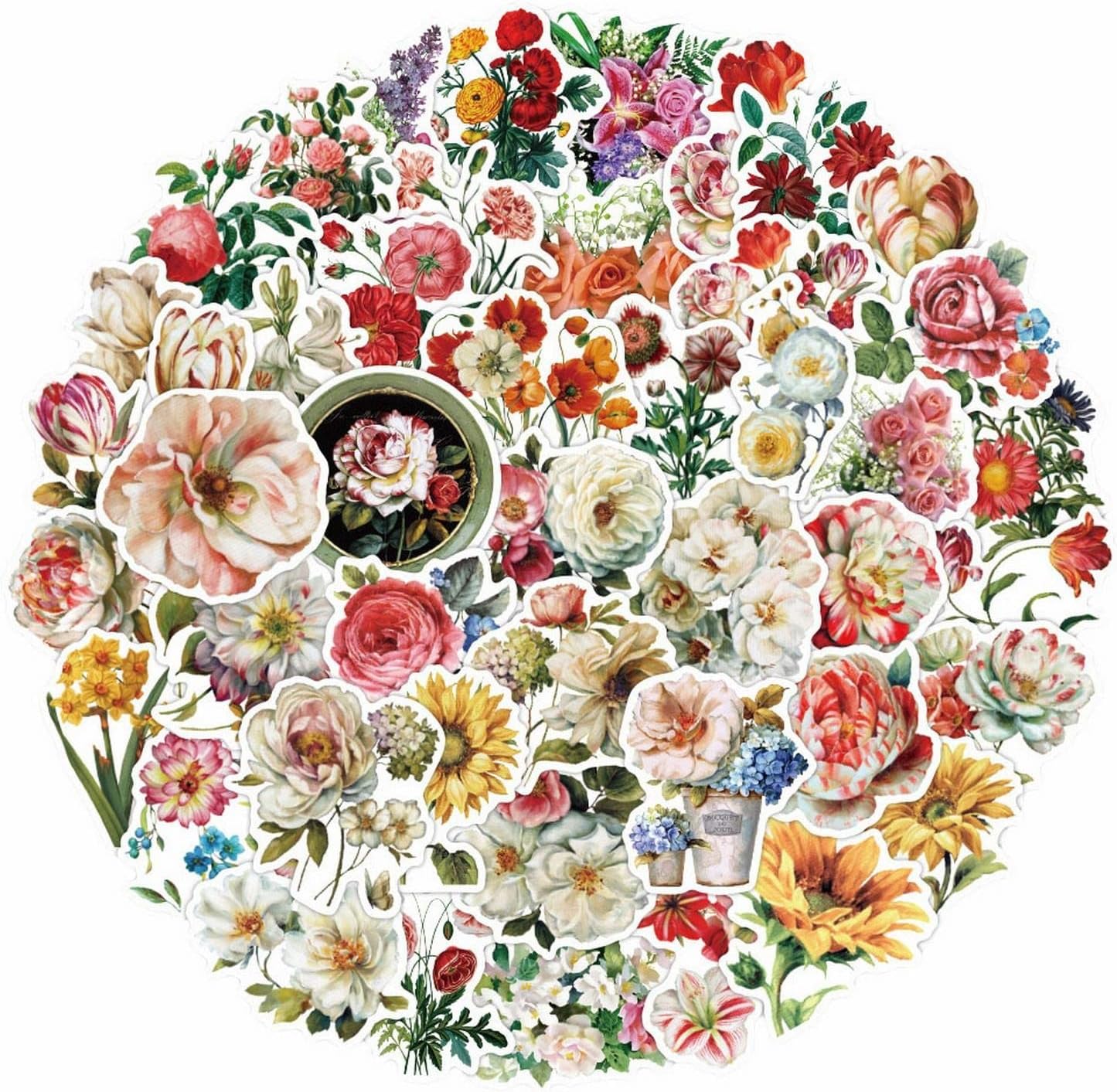 Amazon.com: 50PCs Colorful PVC Luggage Cup Computer Desktop Stickers ...