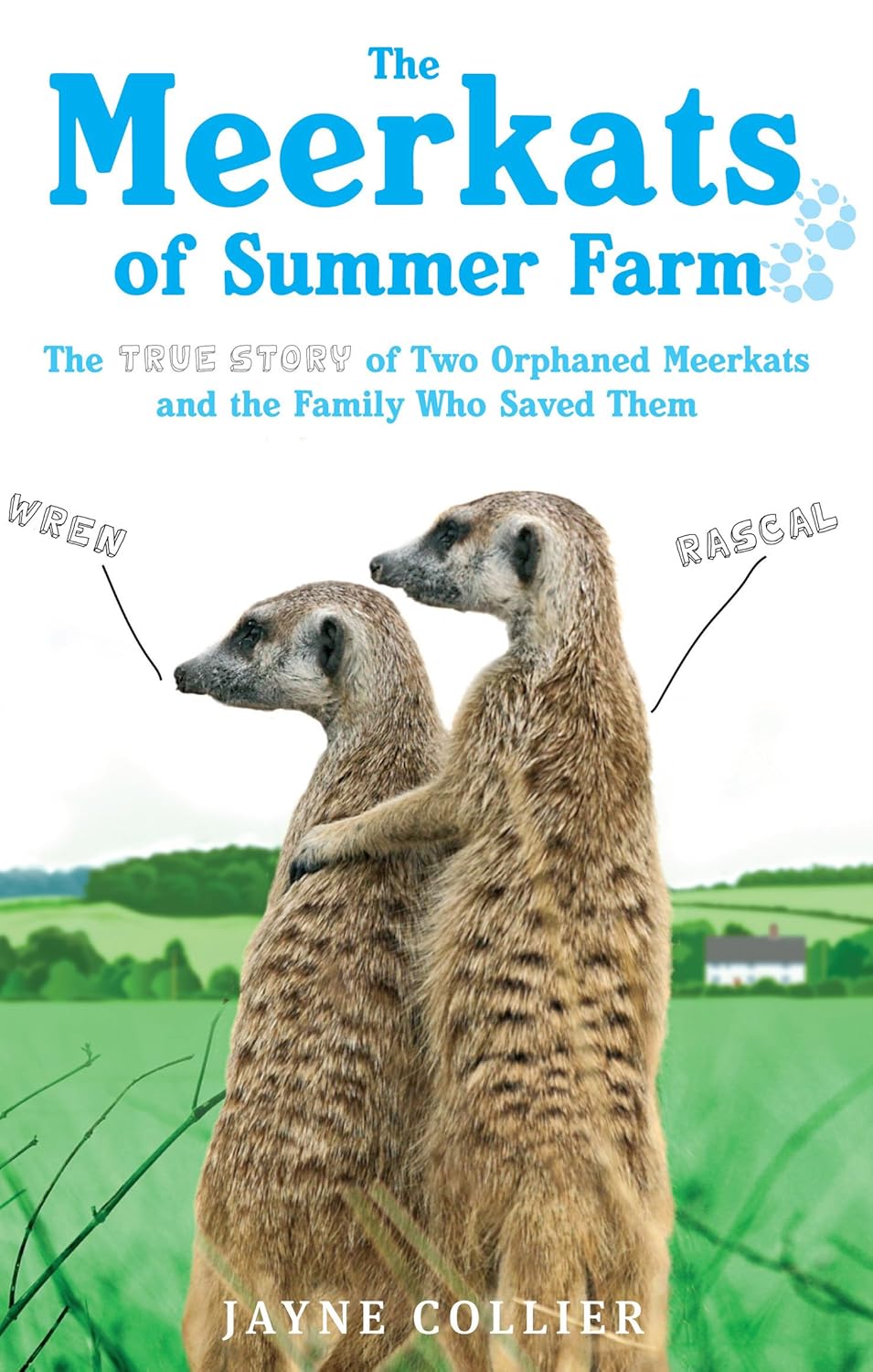 The Meerkats Of Summer Farm: The True Story of Two Orphaned Meerkats ...