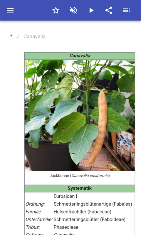 Phaseoleae:www.amazon.com:Appstore for Android