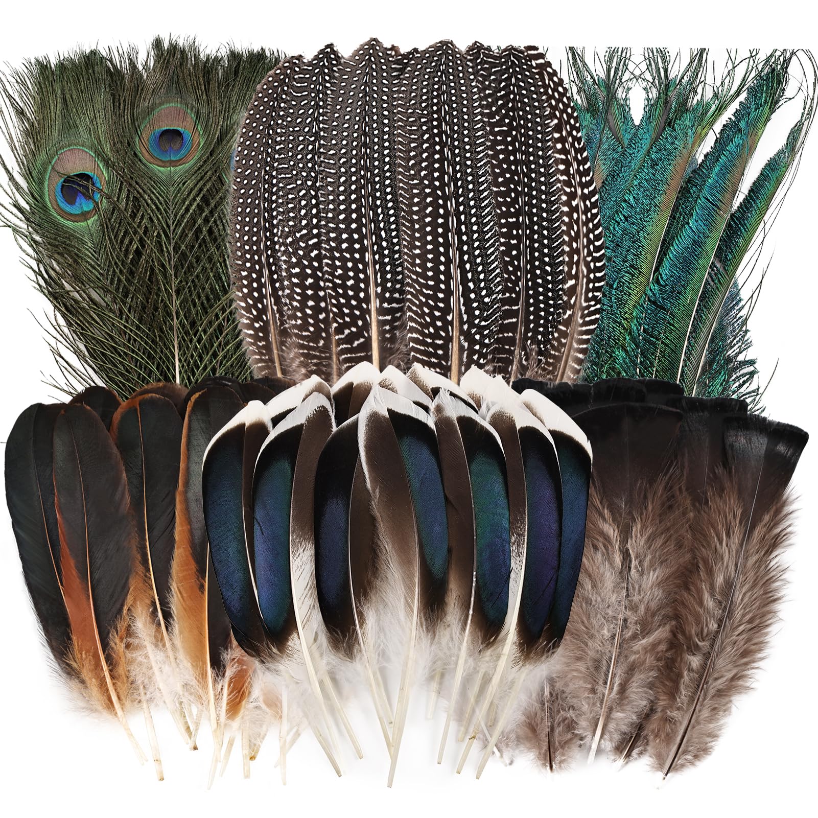 Amazon.com: FeelfunFeather 50pcs Natural Feathers Bulk-6 Style Mixed ...