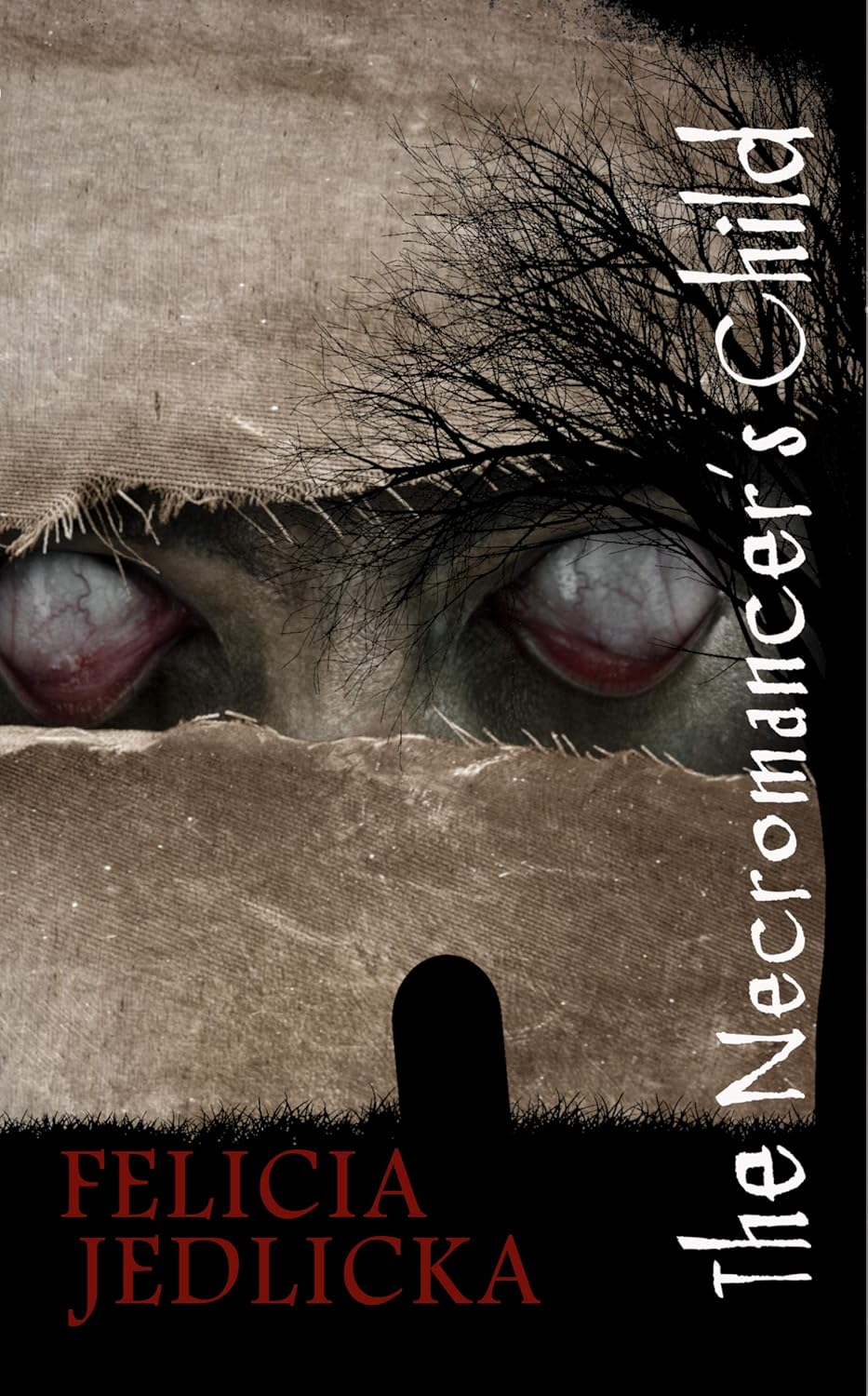 Amazon.com: The Necromancer's Child eBook : Jedlicka, Felicia: Books