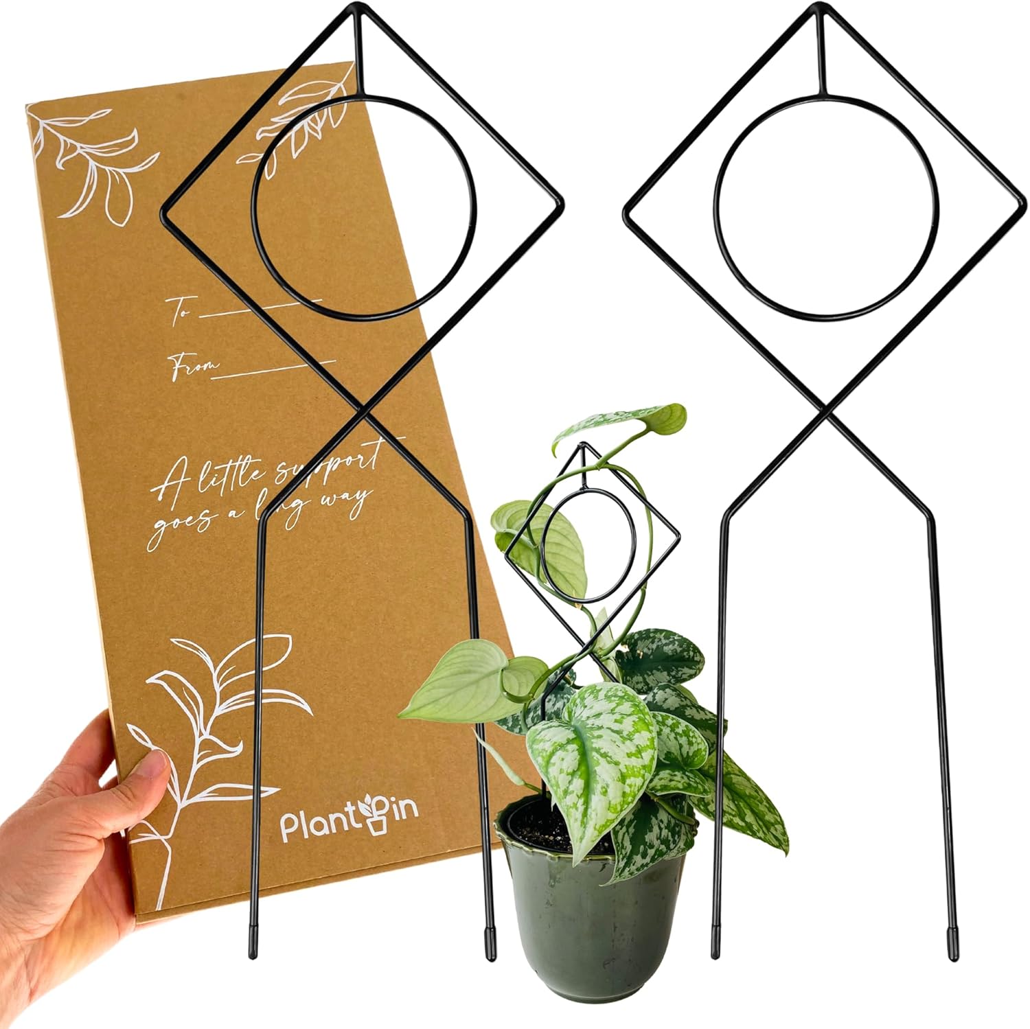 Amazon.com : Metal Plant Support Stake for Indoor Climbing Plants ...