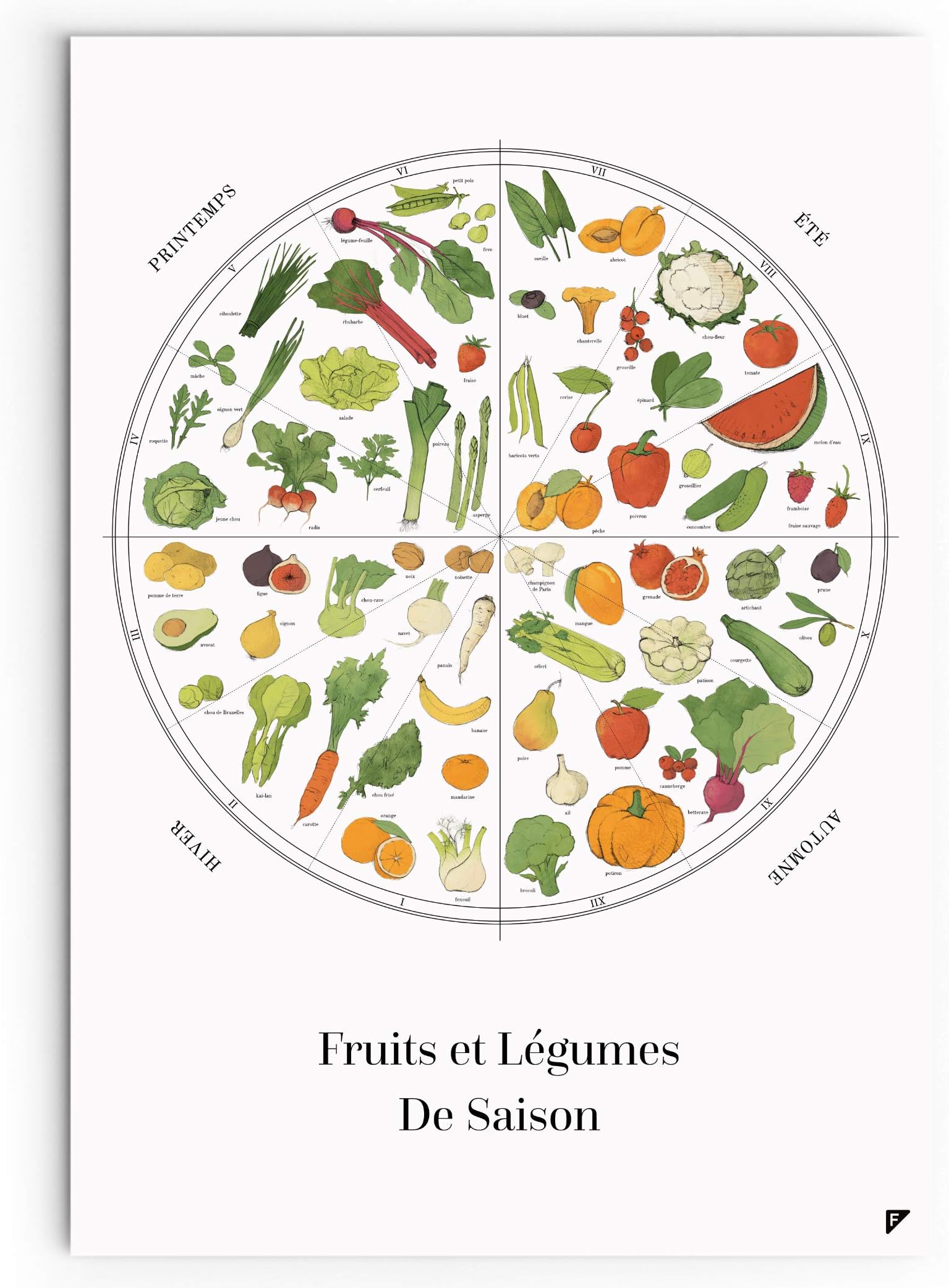 Follygraph Fruits et légumes de saison Poster, Affiche, Calendrier, A2 ...
