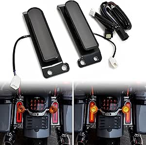 Amazon.com: VEISUTOR Rear Fender Light Saddlebag Side Light for Ultra FLTRU 14-22, Auxiliary LED ...