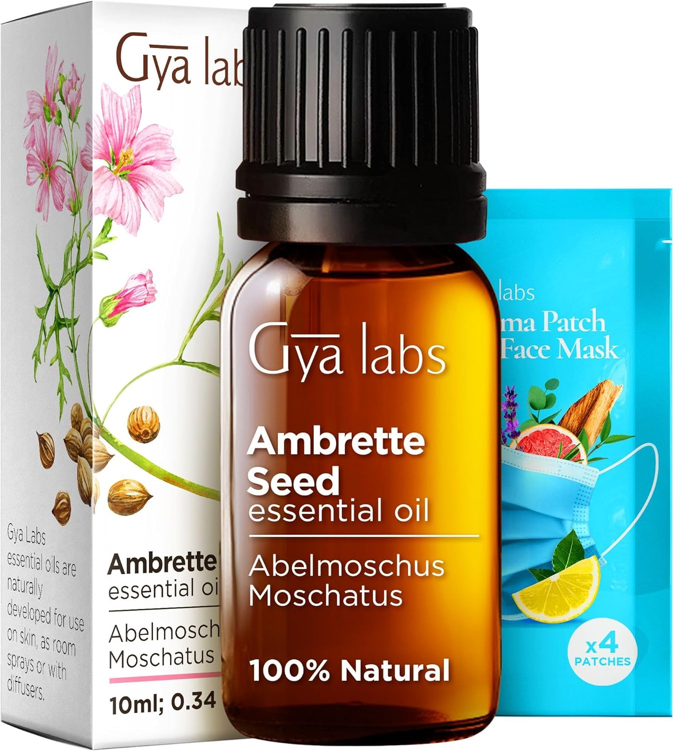 Amazon.com: Gya Labs Ambrette Seed Essential Oil for Skin - Ambrette ...