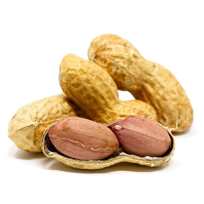 Amazon.com: Sky | Premium USA Grown, Raw Peanuts in Shell For Squirrels ...