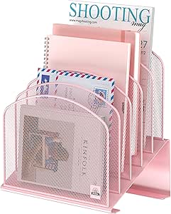 Amazon.com: Delifox Inclined Desk File Organizer, 5-Section Vertical ...