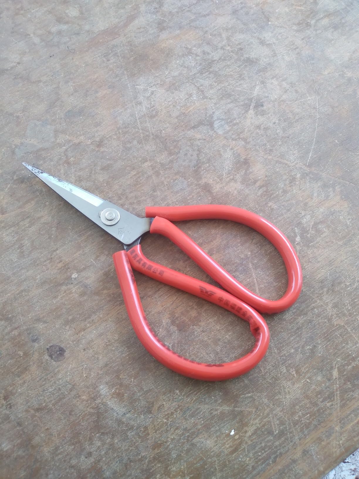 Ugaoo Straight Blade Cutter- D Handle (Garden Scissors) | Garden Plants ...