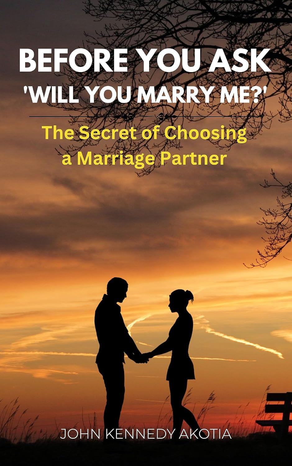 Amazon.com: BEFORE YOU ASK 'WILL YOU MARRY ME?' : The Secret of ...