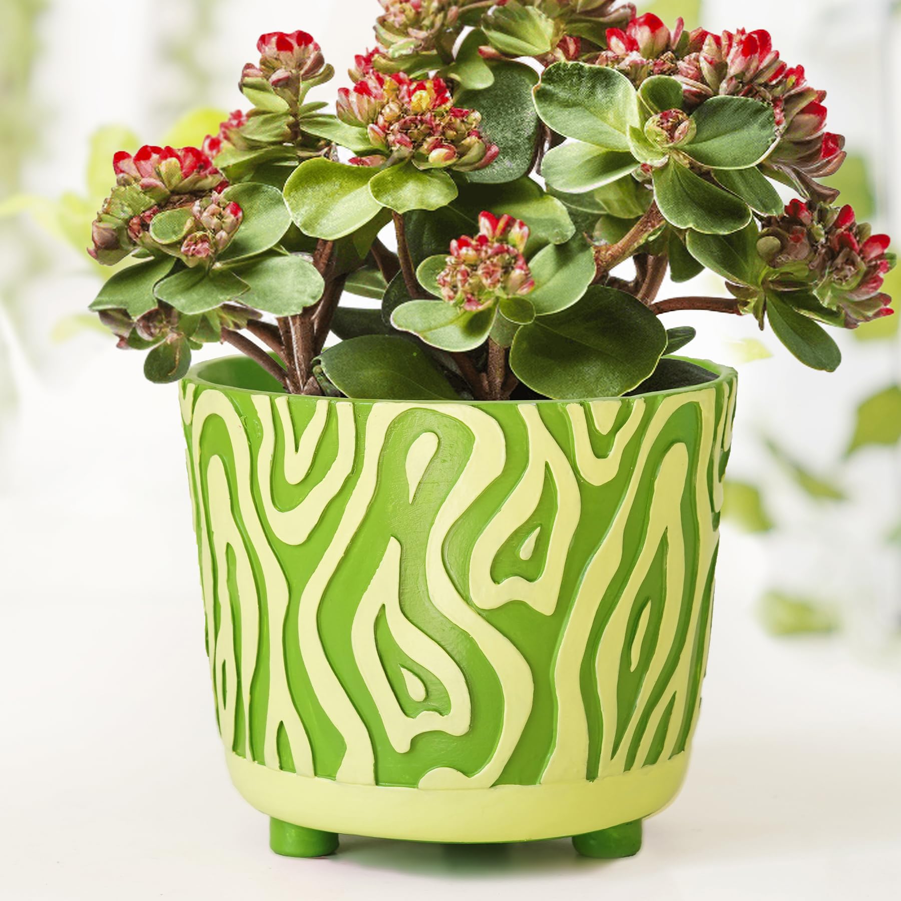 Amazon.com : Pointnio 5 Inch Small Flower Pots, Colorful Carved Wave ...