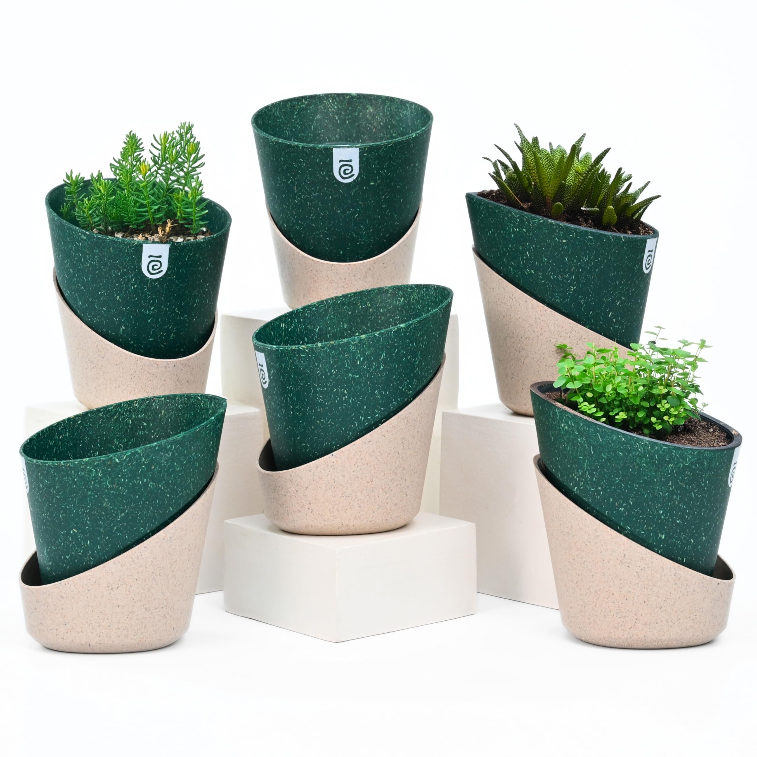 Eha Earth Friendly EcoBloom Small Self Watering Pots for Plants | 4 ...