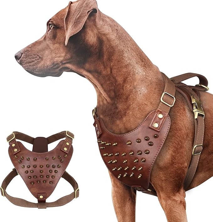 Amazon.com : PET ARTIST Genuine Leather Dog Harness for Large Dogs ...