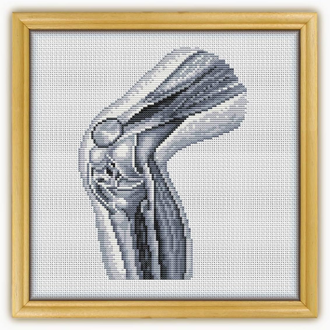 Amazon.com: Knee Joint The Human Anatomy CS2083 - Counted Cross Stitch ...