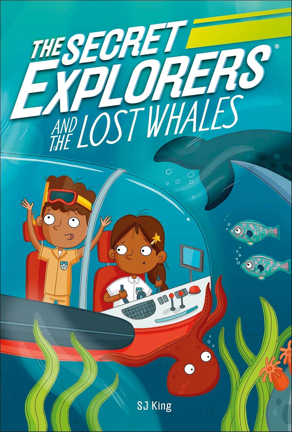 Secret Explorers & The Lost Whales: D.K. Publishing: 9780241440643 ...