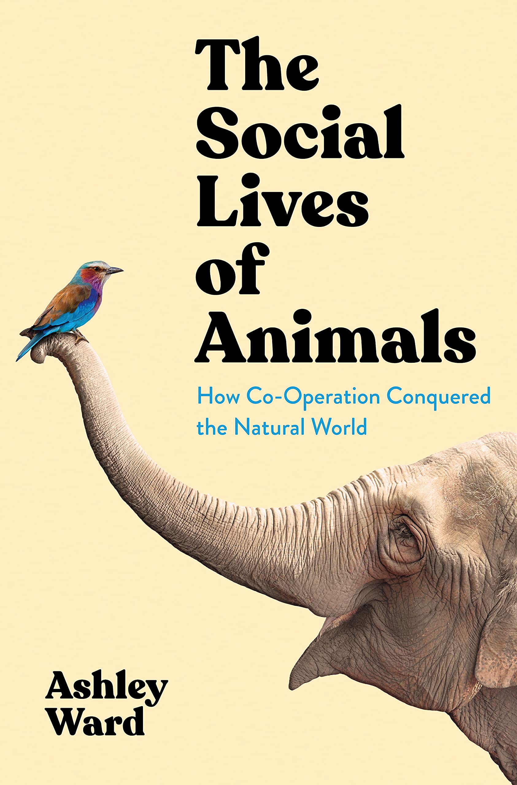 The Social Lives of Animals: How Co-operation Conquered the Natural ...
