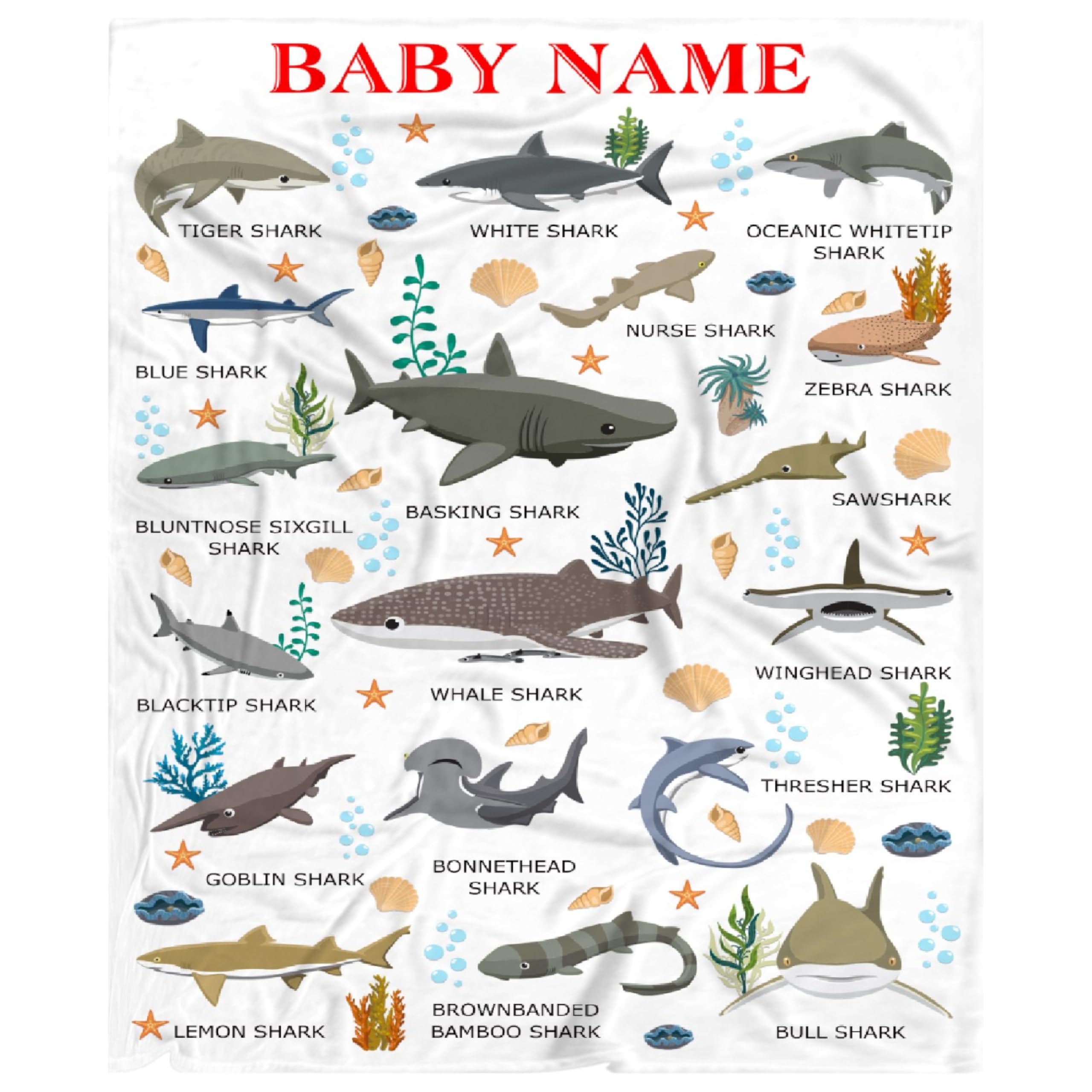 Different Types Of Sharks Names And Pictures A Deep Dive Into The 25