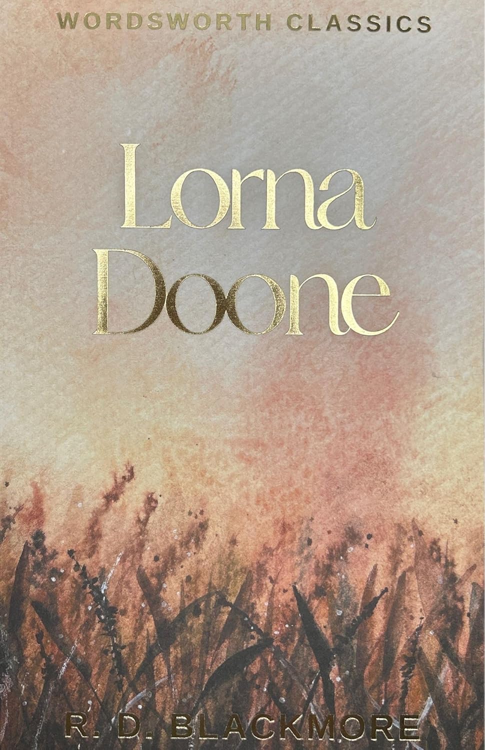 Lorna Doone (Wordsworth Classics): R. D. Blackmore: 9781853260766 ...