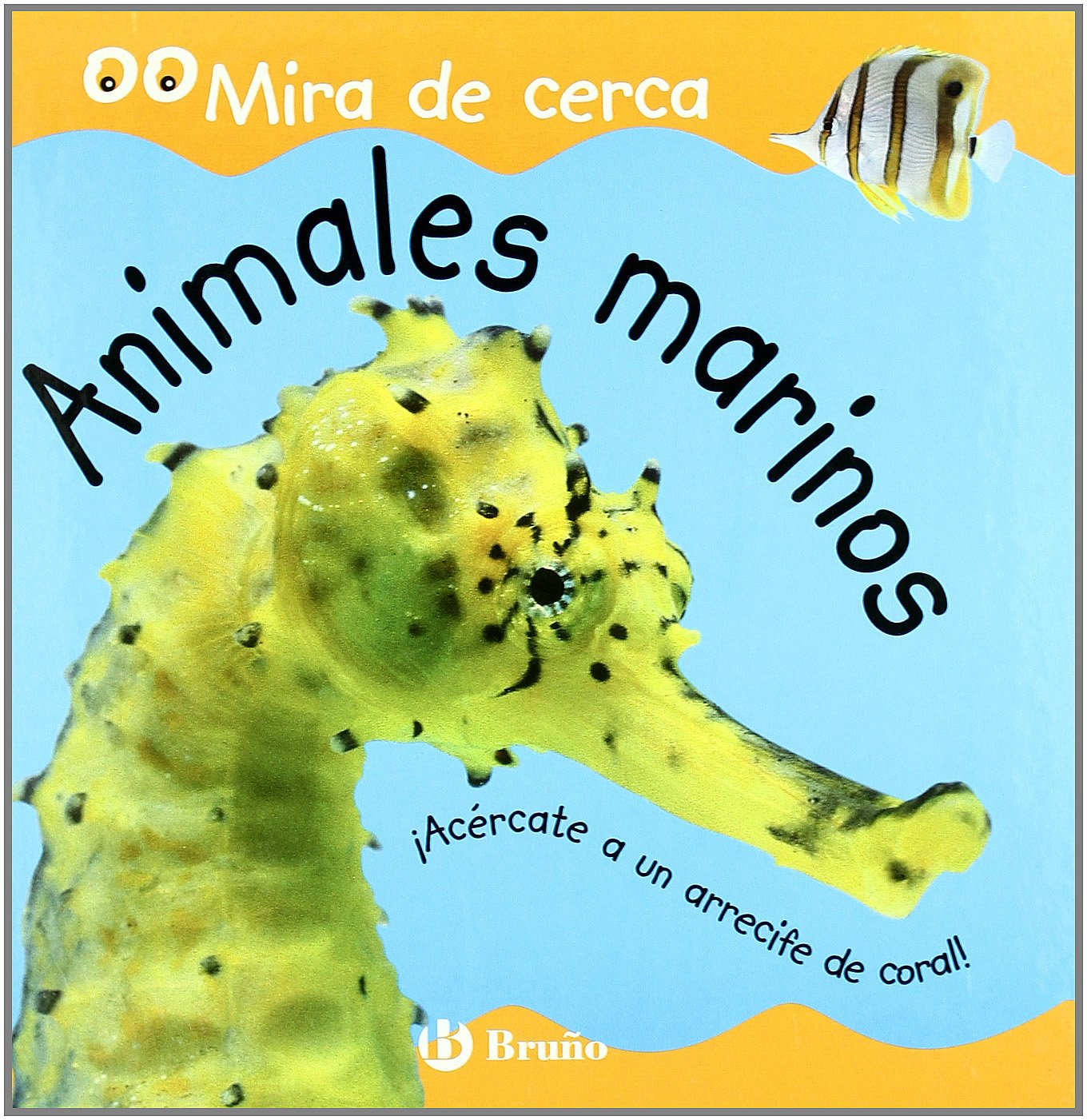 Animales Marinos / Marine Animals (Mira De Cerca / Look Up Close ...