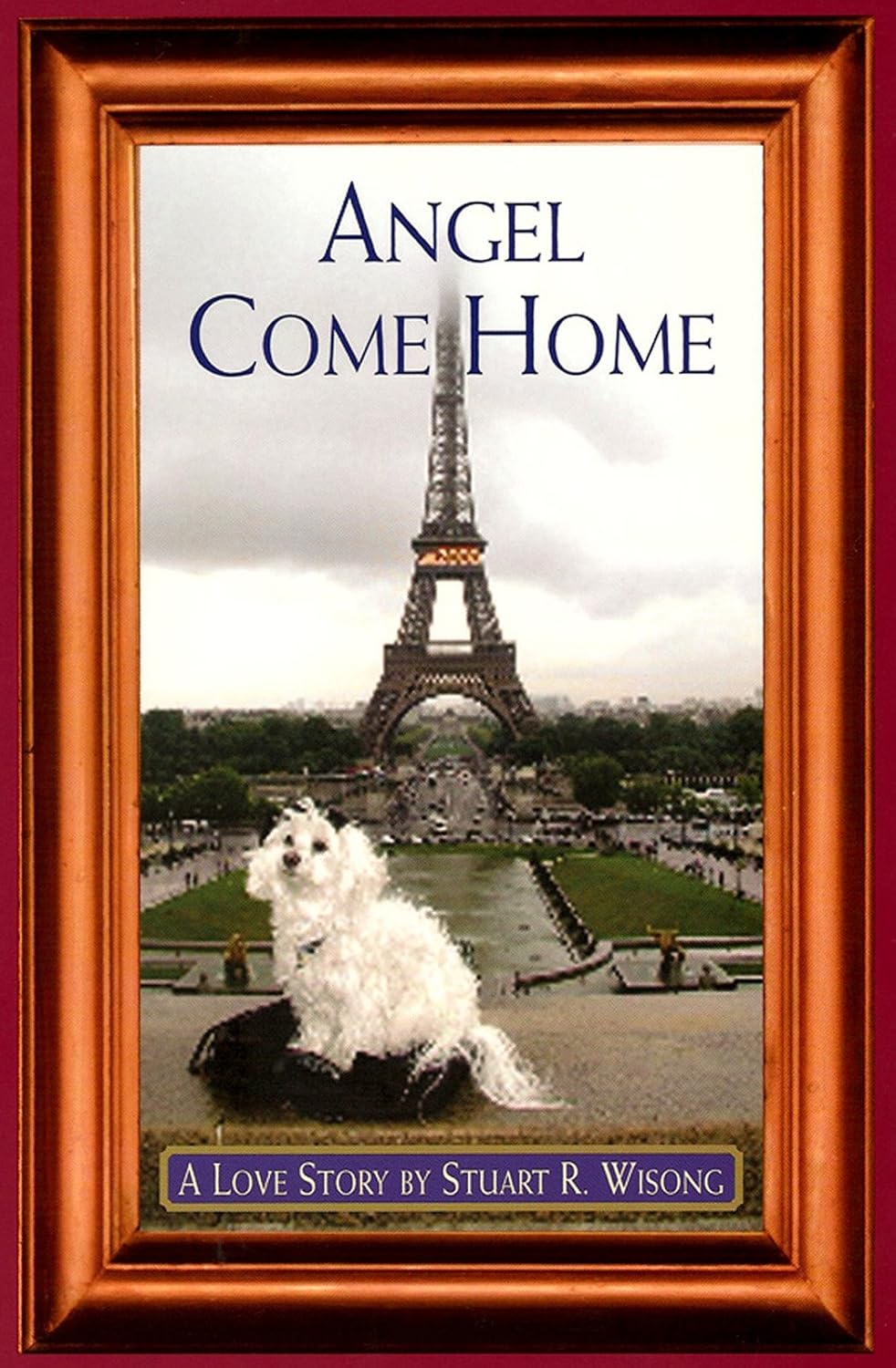 Angel Come Home - A Love Story - Kindle edition by Wisong, Stuart ...