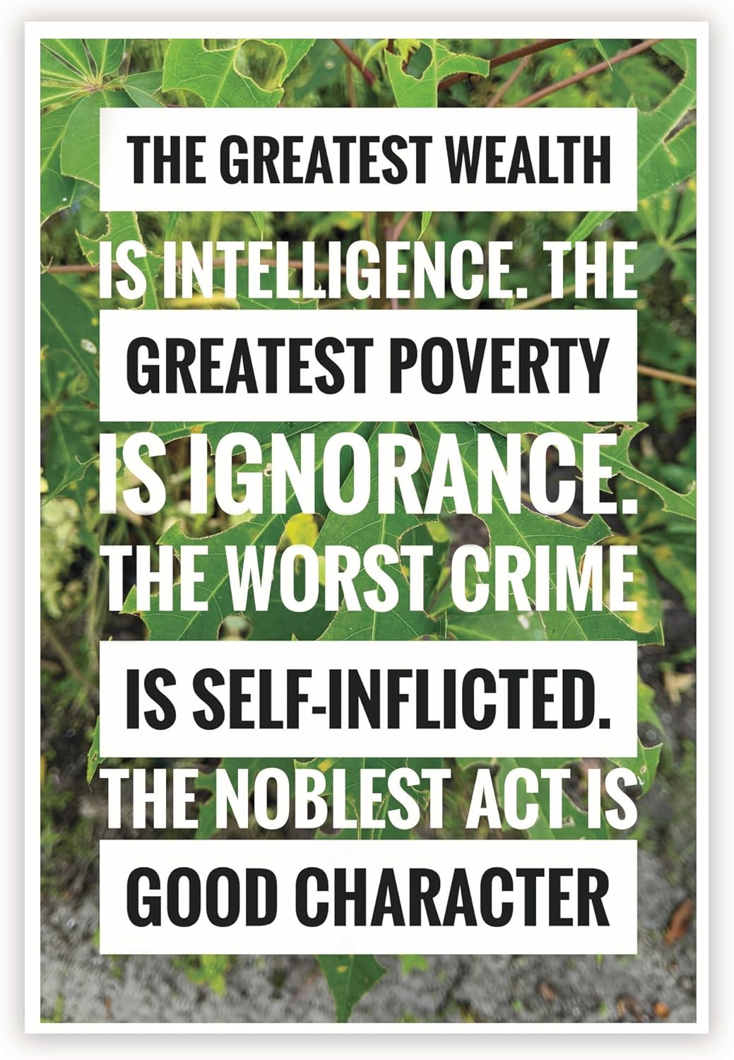 Amazon.com: HASIDU The Greatest Wealth - Greatest Poverty - Classroom ...
