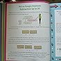 Do Not Open This Math Book: Addition + Subtraction (McKellar Math ...