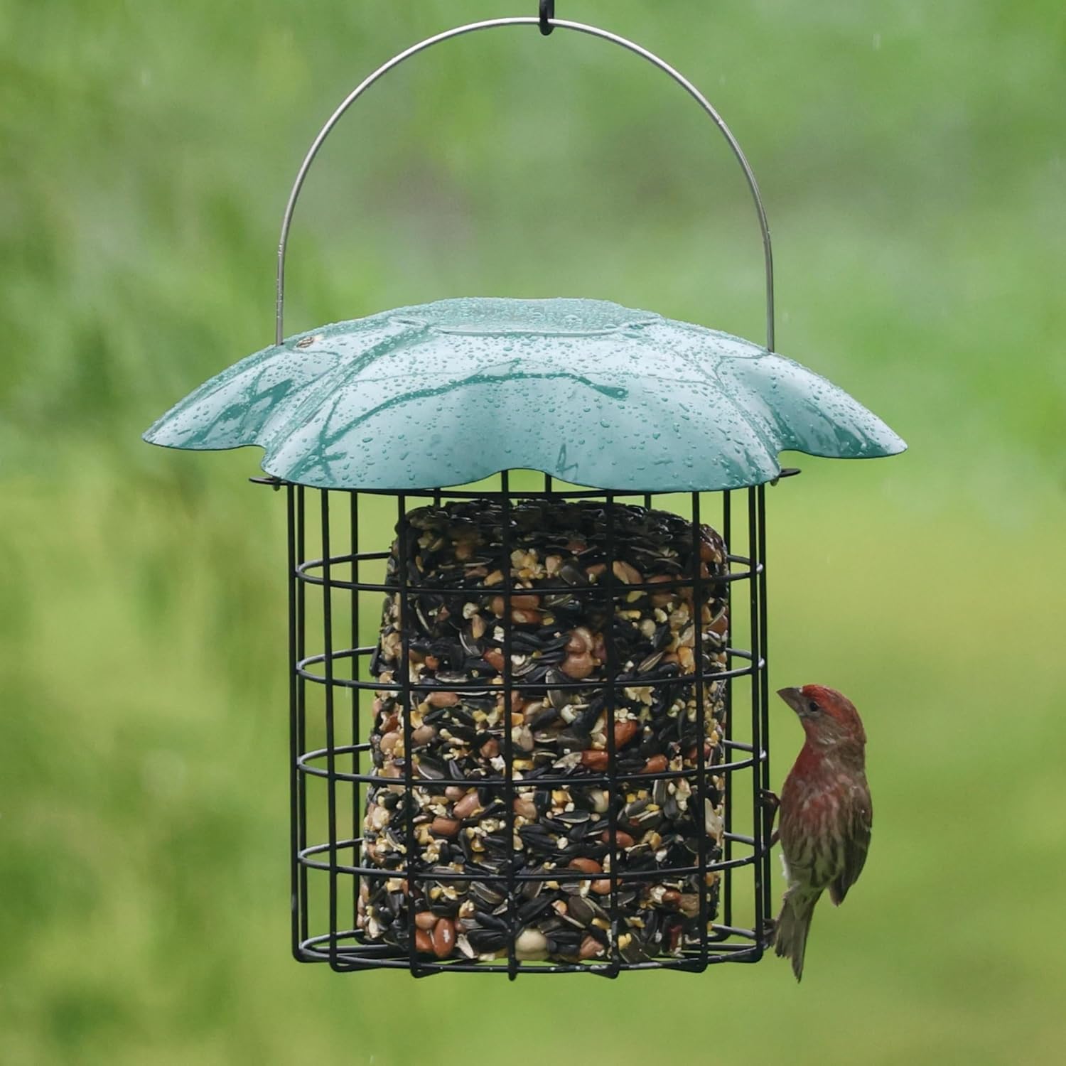 Amazon.com : Backyard Essentials Large Suet Log Feeder, Metal Mesh Suet ...