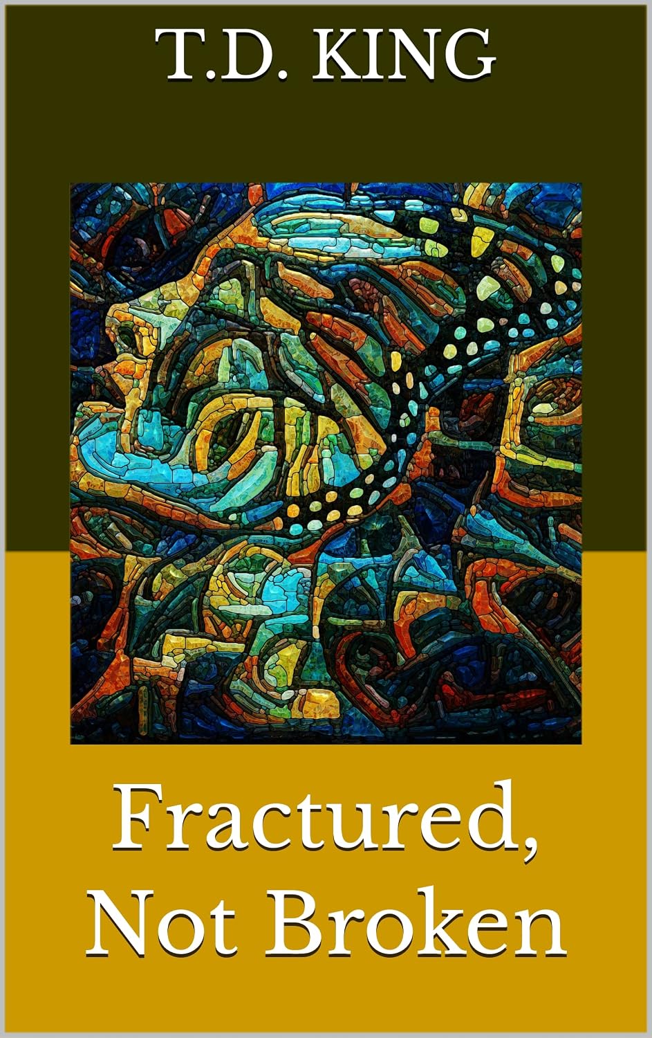 Fractured, Not Broken - Kindle edition by King, T.D., Schmid, Gretchen ...