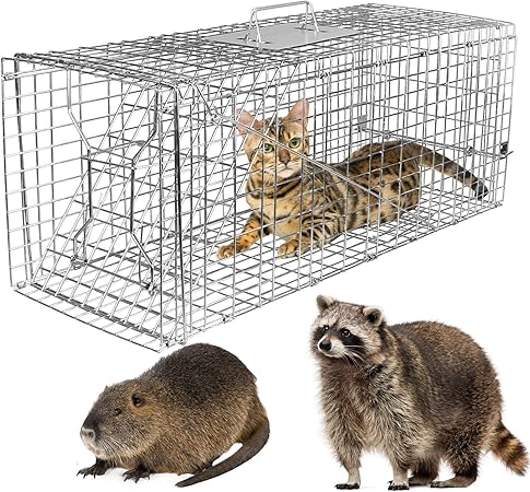 Amazon.com : iMounTEK Humane Live Animal Trap Animal Trap Large Humane ...