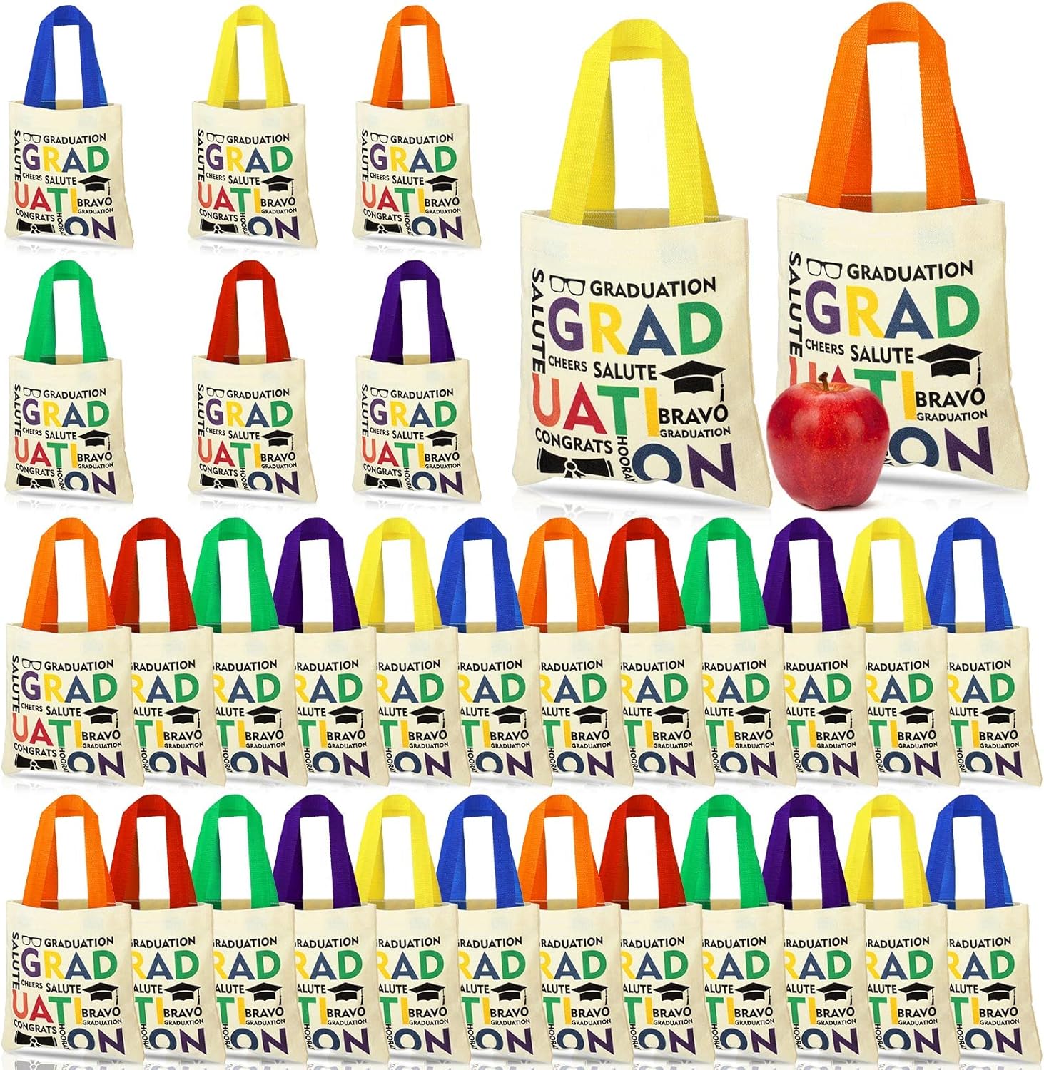 Amazon.com: Silkfly 24 Pieces Graduation Tote Bags Bulk Mini Canvas ...